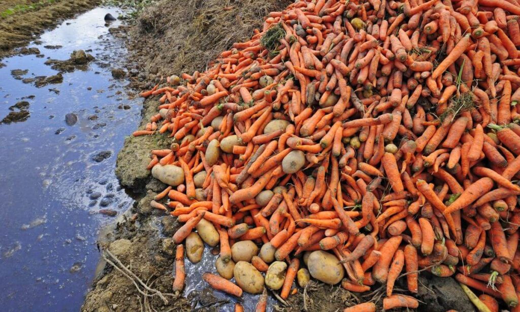 3 Hacks for reducing Food Loss